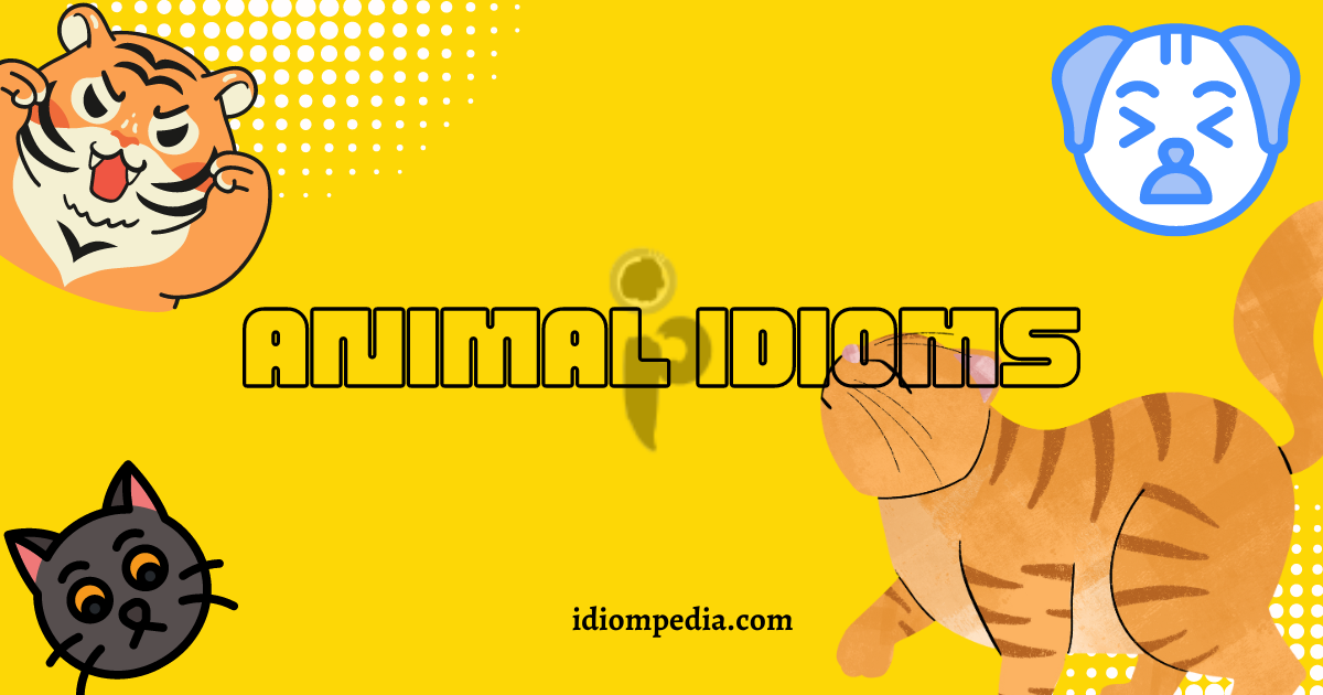 Collection of Idioms - Idiompedia