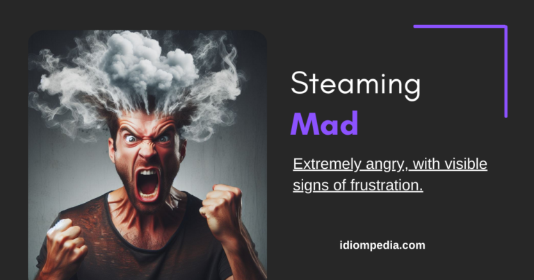 15+ Anger Idioms To Express Furious Emotions - Idiompedia